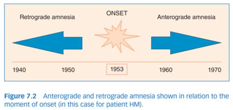 Disorders Of Memory Flashcards Quizlet