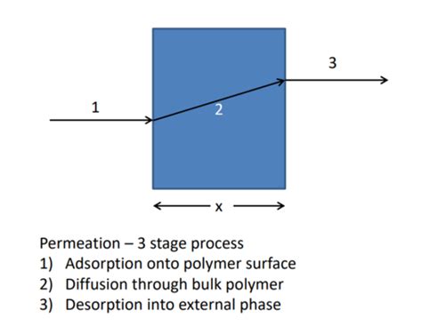 Lecture 8 Polymer Diffusion Exam 1 Flashcards Quizlet Lecture 8 Polymer Diffusion Exam 1 Flashcards Quizlet