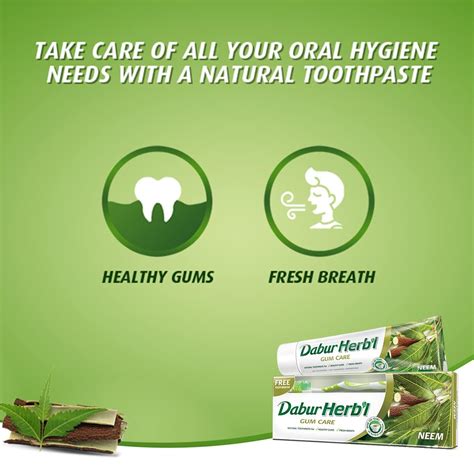 Dabur Herbal Tooth Paste Neem 150g Kiasu Mart