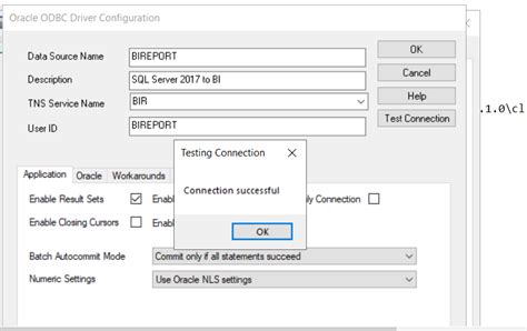 Internal Error Unable To Initialize Nls During Driver Load Oracle