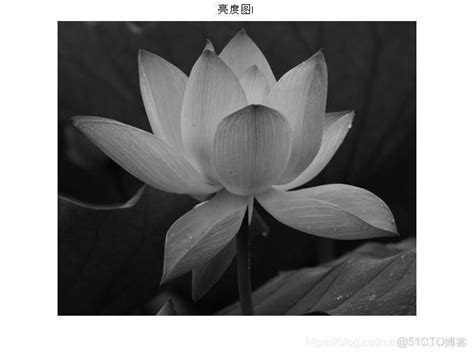 【图像处理基础】基于matlab Gui图像处理（反色亮度二值化空间肤色检测）【含matlab源码 1008期】51cto博客