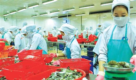 ယခုဘဏ္ဍာနှစ် လေးလတာ ကာလအတွင်း မြန်မာ့ပုစွန် ပြည်ပတင်ပို့မှု လျော့ကျခဲ့