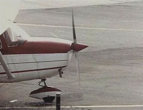 Hurra Die Deutsche Sex Partei Internet Movie Plane Database Wiki Fandom