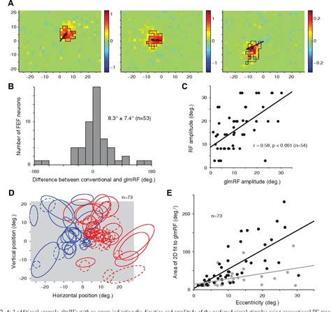 Figure 2 From Dynamics Of Visual Receptive Fields In The Macaque