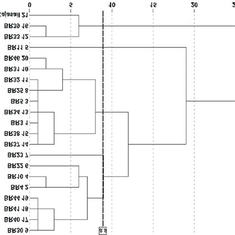 A Upgma Cluster Dendrogram Showing The Genetic Relationships Among 21
