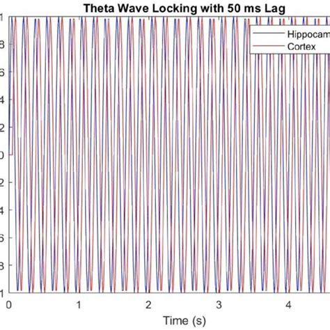 1 Note The Coupling Of Theta Waves Between The Hippocampus And Cortex