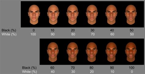 Example Of A Facial Model Used In The Experiment In The Black White