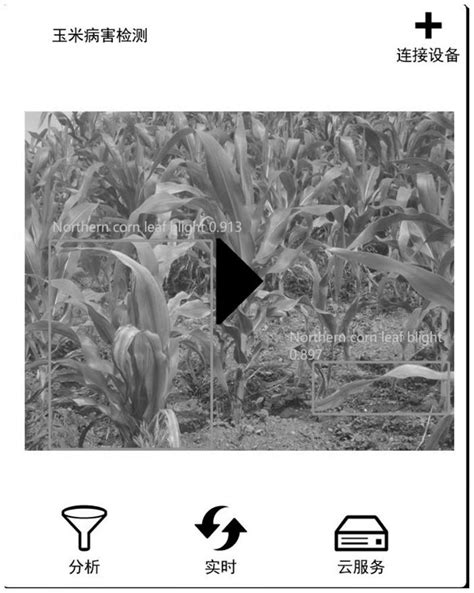 Deep Learning Based Corn Inter Row Three Dimensional Disease Detection