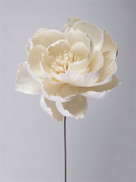 Квітка з шоли півон біла купити в Україні за низькою ціною • Dfb Elements