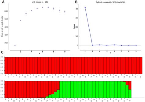 Population Structure Analysis Using Structure V 2 3 4 And Structure Download Scientific Diagram