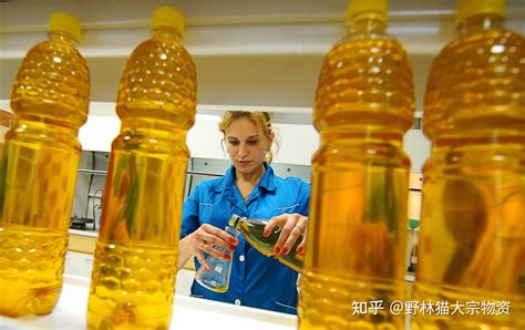 过山车式的俄罗斯葵花油价格 知乎
