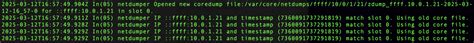 A Guide To Configuring And Testing Esxi Core Dumps Coreys Vblog