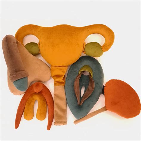 Sex Education Set Sex Therapy Tools Vulva 2 0 Clitoris Uterus Bladder And Penis Pillow Set