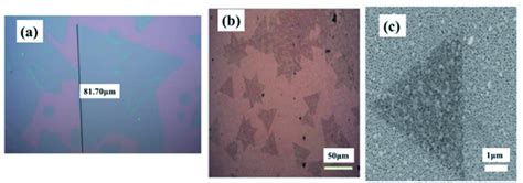 A The Optical Micrograph Of Mos2 Films Grown On Si Sio2 Substrates Download Scientific
