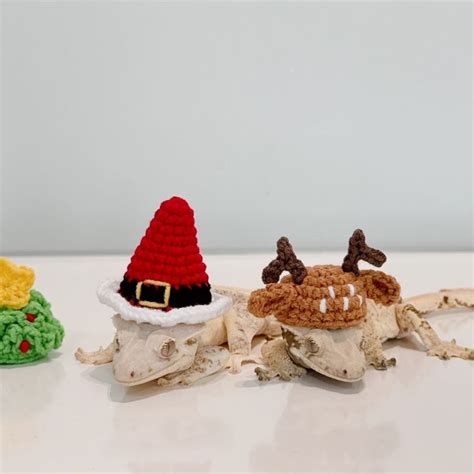 크레스티드 게코 도마뱀 키우기 크레 먹이 온도 네이버 블로그