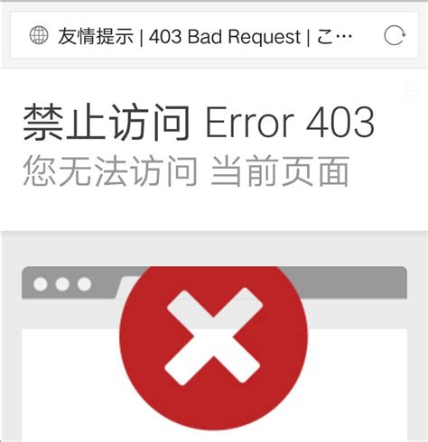 虚拟主机rvh 访问网站出现 403禁止访问 提示？ 常见问题 faq 雨云论坛