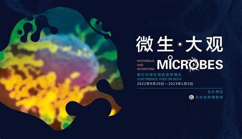 「微生·大观」我们与微生物的恩怨情仇 每日环球展览 Imuseum