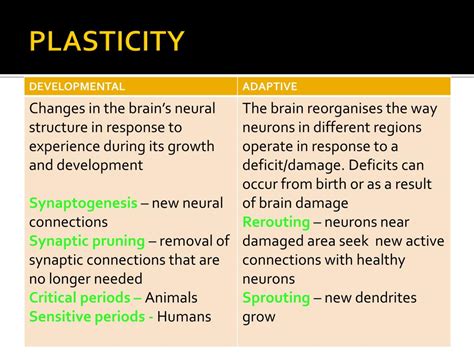Plasticity
