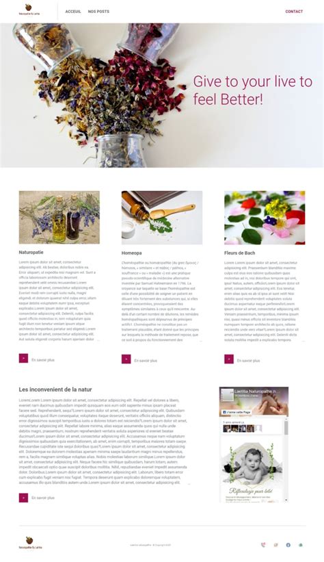 Develop Web App Using Node Js Express And Mongodb By Netanelzz Fiverr