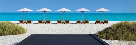 Brandfetch Adnh Logos And Brand Assets