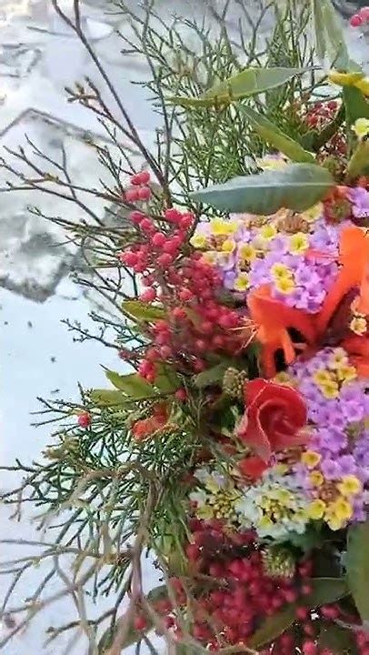 ულამაზესი ყვავილები Ulamazesi Yvavilebi Youtube