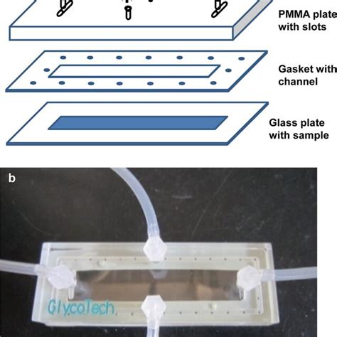 Schematic Diagram A And Photograph B Of The Flow Chamber Download