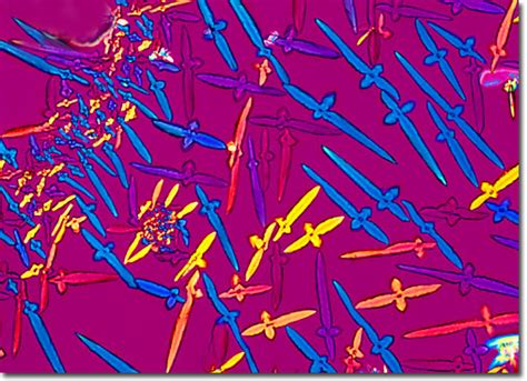 Molecular Expressions The Vitamin Collection Retinol Vitamin A