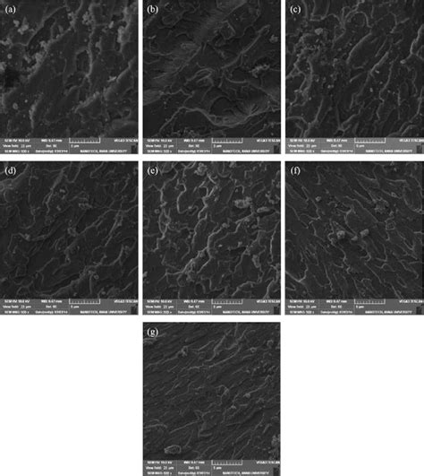 Scanning Electron Micrographs Of The Fractured Surfaces Specimen P