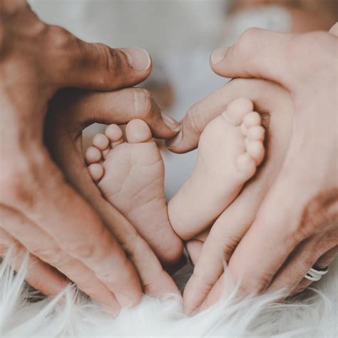 Jacksonville Egg Donation Program Jacksonville Egg Donation Program