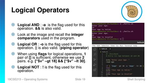 Ppt Introduction To Shell Scripting Powerpoint Presentation Free