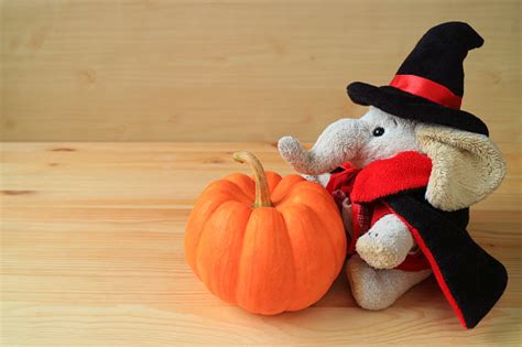 나무 테이블에 고립 된 밝은 오렌지 색상 잘 익은 호박과 마법사 의상에서 귀여운 코끼리 부드러운 장난감 코끼리에 대한 스톡 사진 및 기타 이미지 Istock