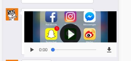 Player My Video Is Already Initialised Options Will Not Be Applied