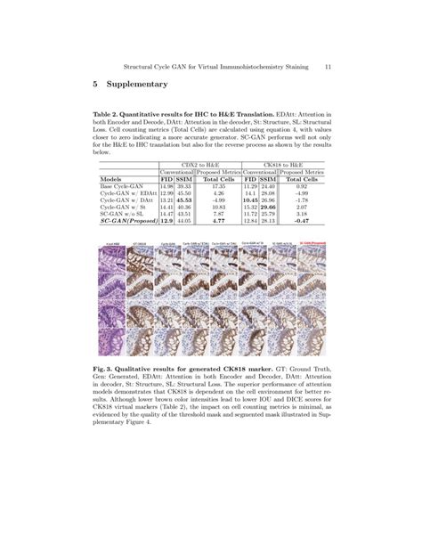 Structural Cycle Gan For Virtual Immunohistochemistry Staining Of Gland Markers In The Colon