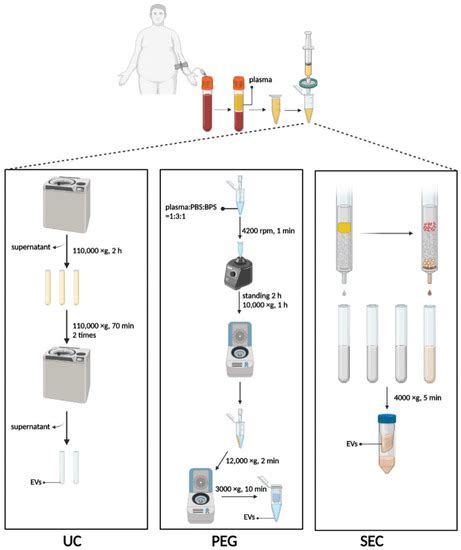 Comparison Of Different Isolation Methods For Plasma Derived Extracellular Vesicles In Patients