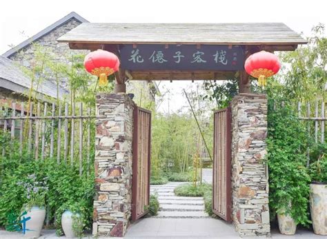 宿迁三台山梨兰会即将惊艳来袭500亩梨花遇见二月兰唯美仙境等你来 搜狐大视野 搜狐新闻