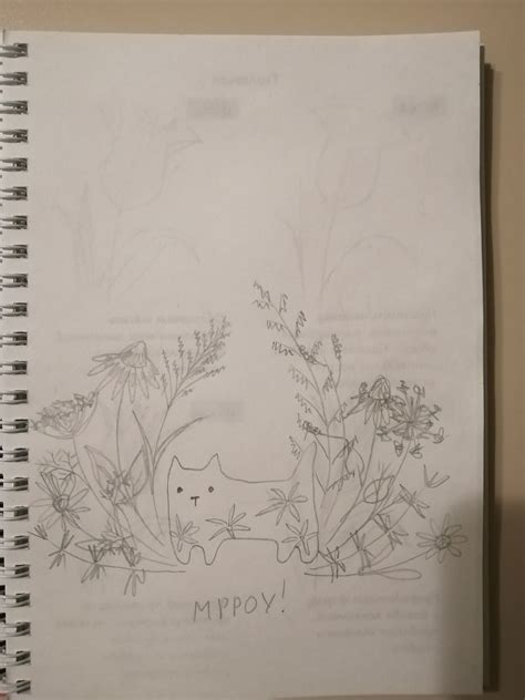 Футболка. Акрил. Котик | Пикабу