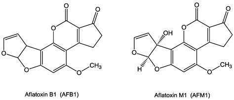 Toxins Free Full Text Aflatoxin B1 And M1 Biological Properties