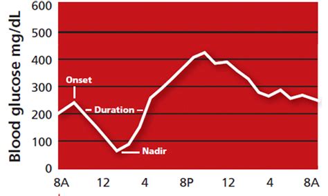 The Role Of The Glucose Curve