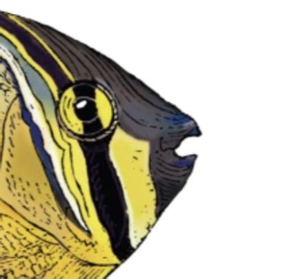 Operating OpenShift Operating OpenShift