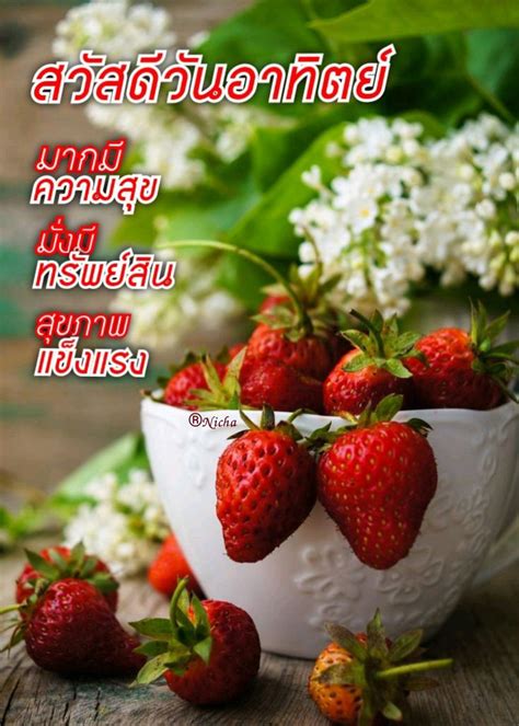 𝓗𝓪𝓹𝓹𝔂 𝓢𝓾𝓷𝓭𝓪𝔂 🍓 สุขสันต์วันอาทิตย์ วันอาทิตย์ สวัสดีตอนเช้า