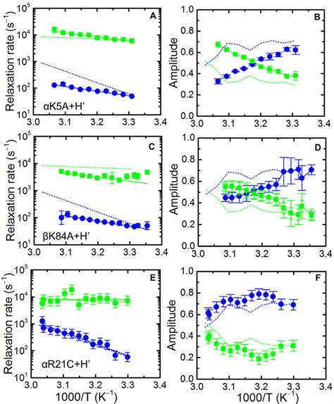 Temperature Dependence Of The Relaxation Rates And Relative Amplitudes
