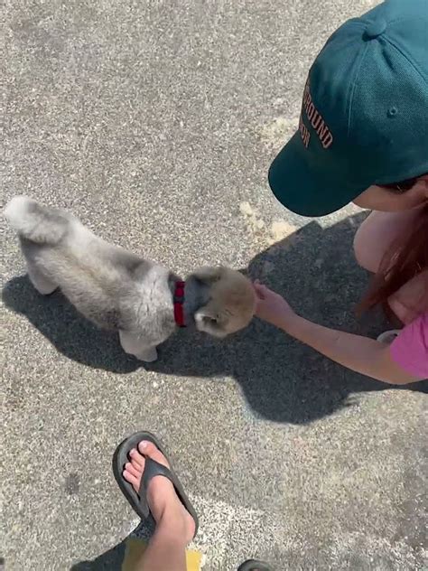 너무 귀여운 애기 Youtube