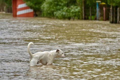 Las Imágenes De Las Inundaciones En El Sur Y Centro De Chile Por Las