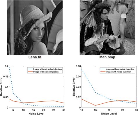Different Images And Relative Errors With And Without Noise Injection