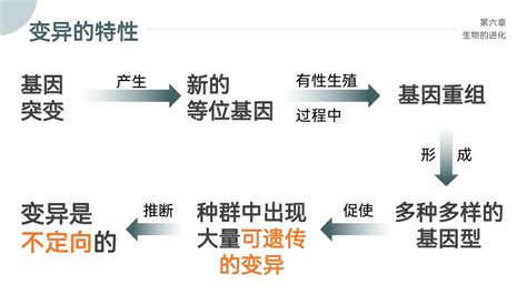 6 3 2 种群基因组成的变化与物种的形成（第二课时）课件（共27张ppt） 人教版必修二 21世纪教育网 二一教育