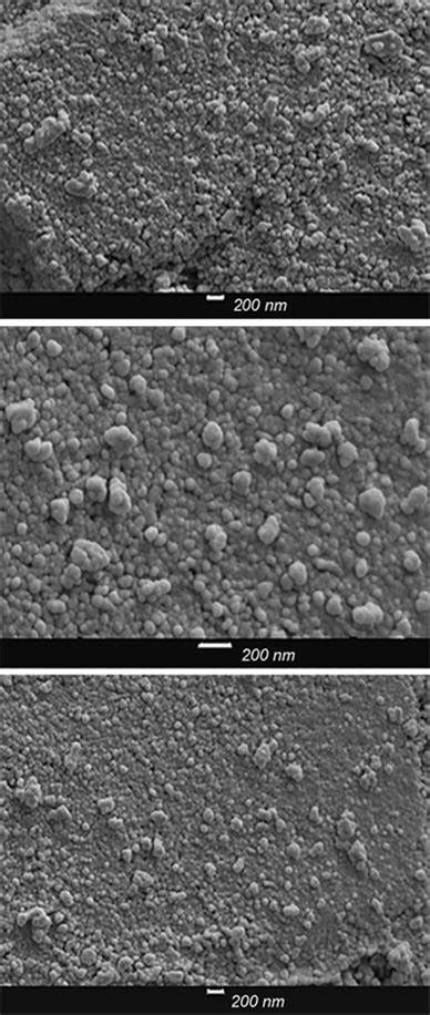 SEM Images Of TiO2 Nanoparticles Download Scientific Diagram