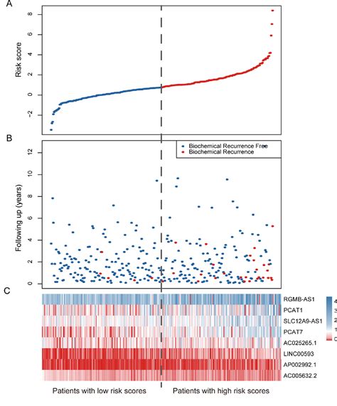Figure 2 From Transcriptome Analysis Reveals A Long Non Coding Rna