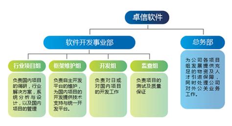 卓信软件开发有限公司 公司结构