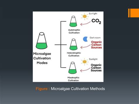 Microalgae Cultivation Methods Pptx Geography Science