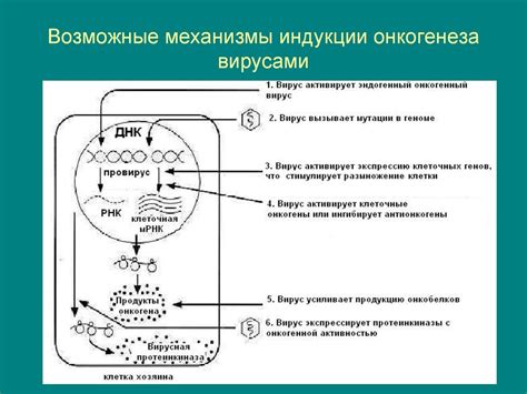 Онкогенные вирусы Особенности противоопухолевого иммунитета презентация онлайн